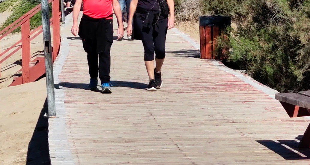 Noticias | Licitaron la rambla "ecológica", un paseo playero de 40 ...